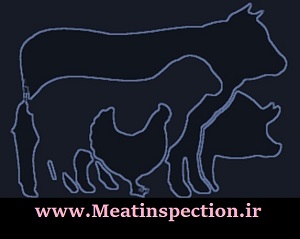 Meat inspection