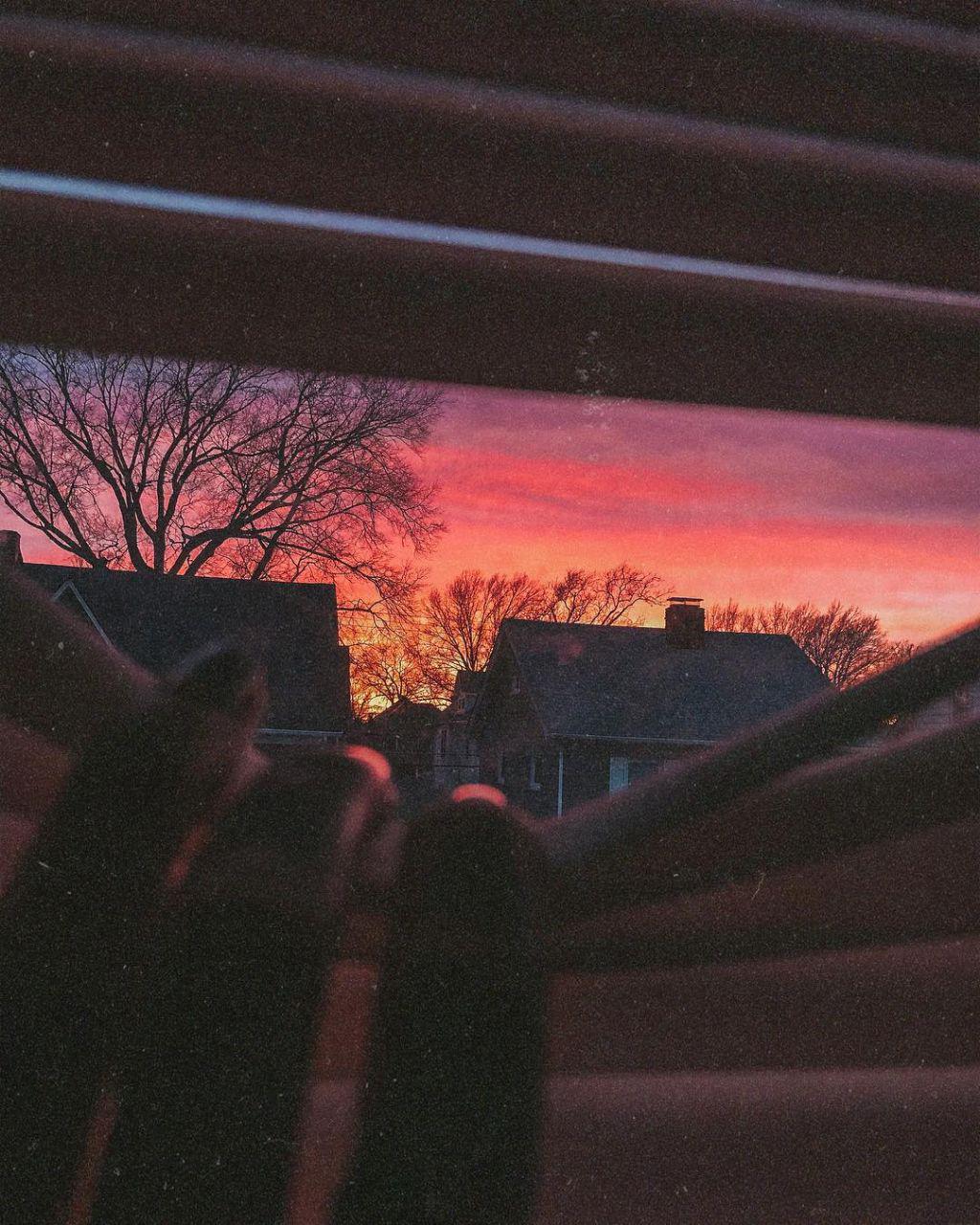  273 jpg